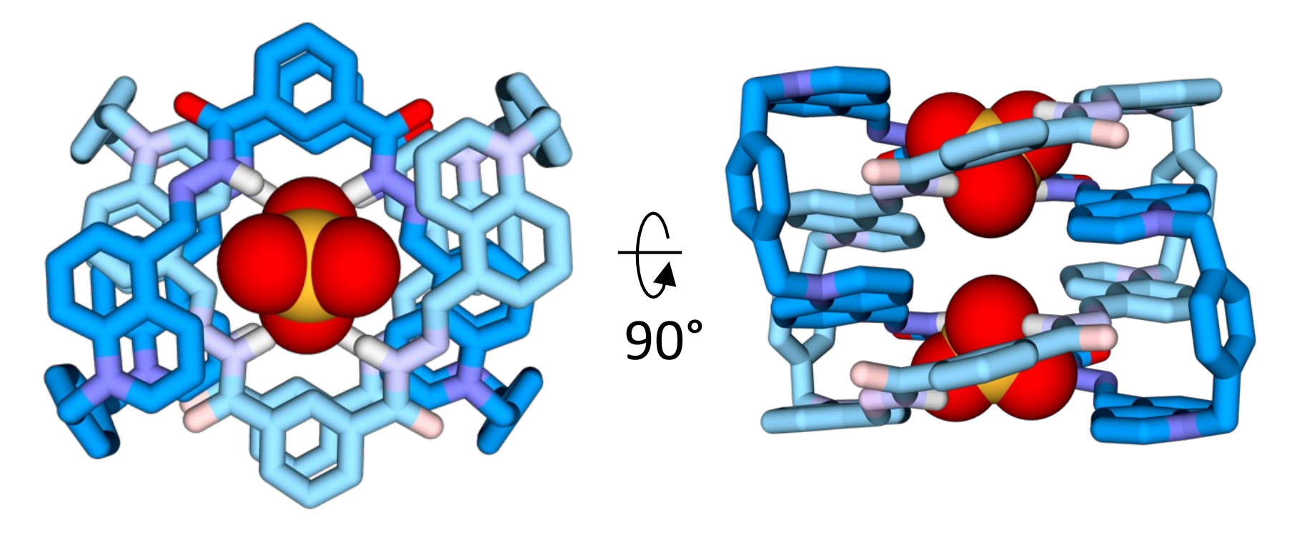 Cougnon Lab