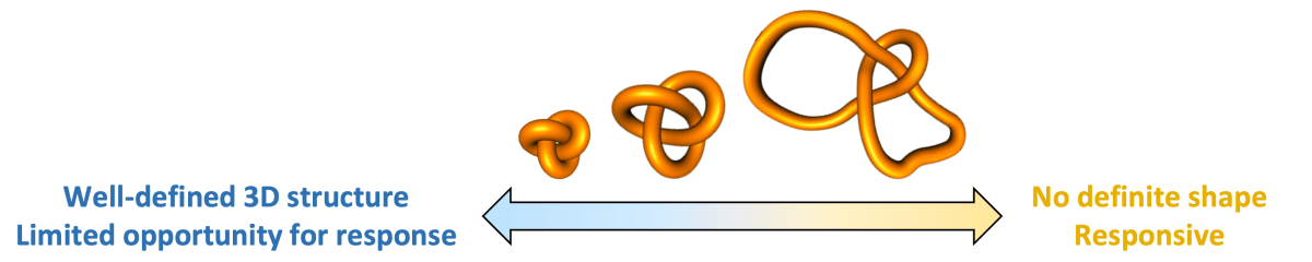 Cougnon Lab